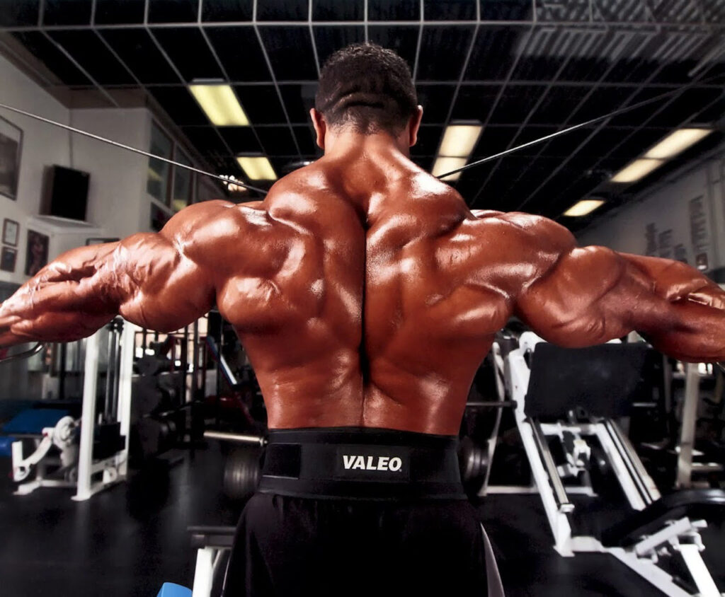 Рулли Винклаар (Roelly Winklaar). Фото. Антропометрия. Биография